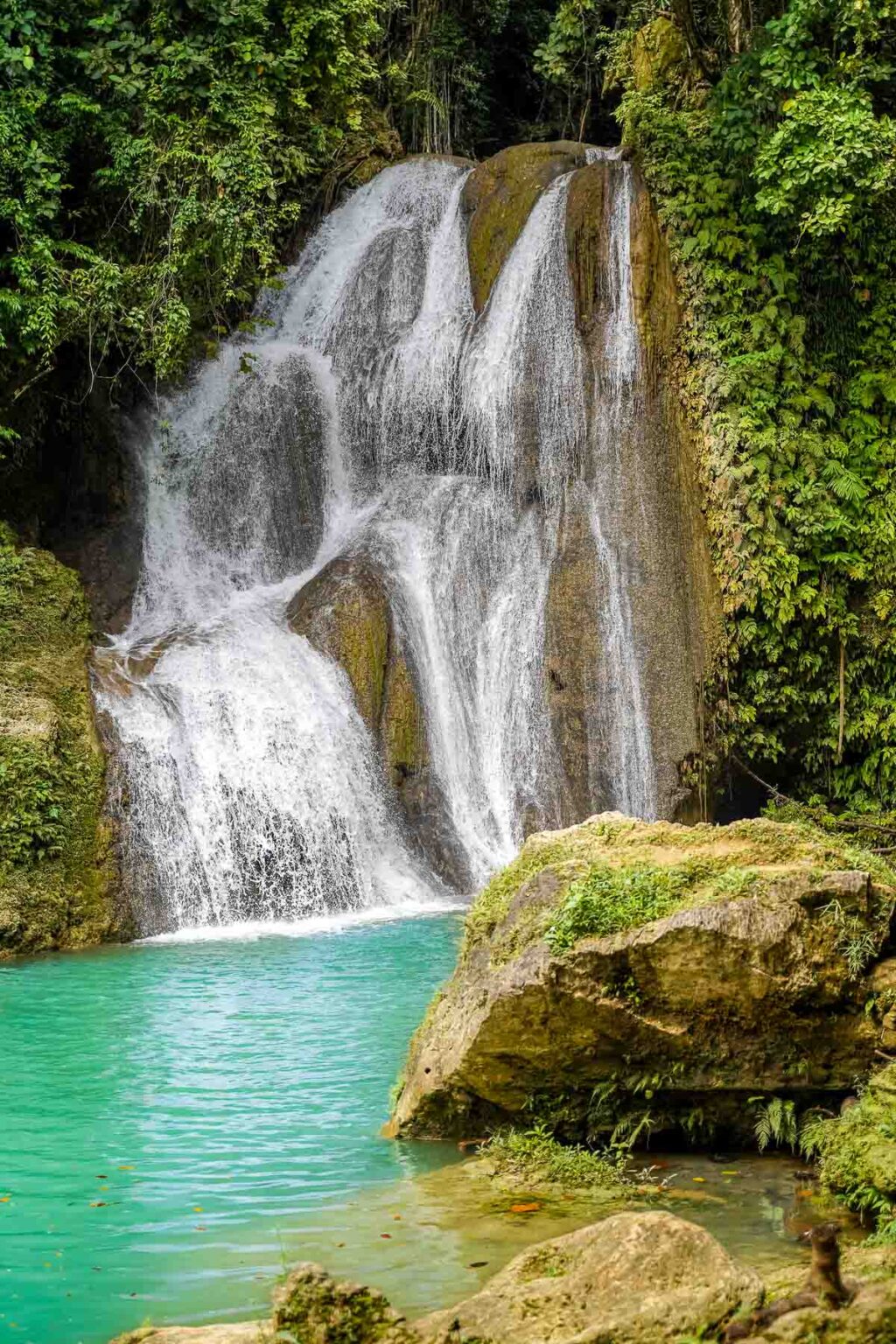 The Ultimate Bohol Itinerary for 3 Days