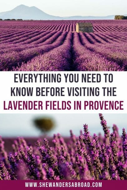 Complete Guide to Visiting the Lavender Fields in Provence | She ...