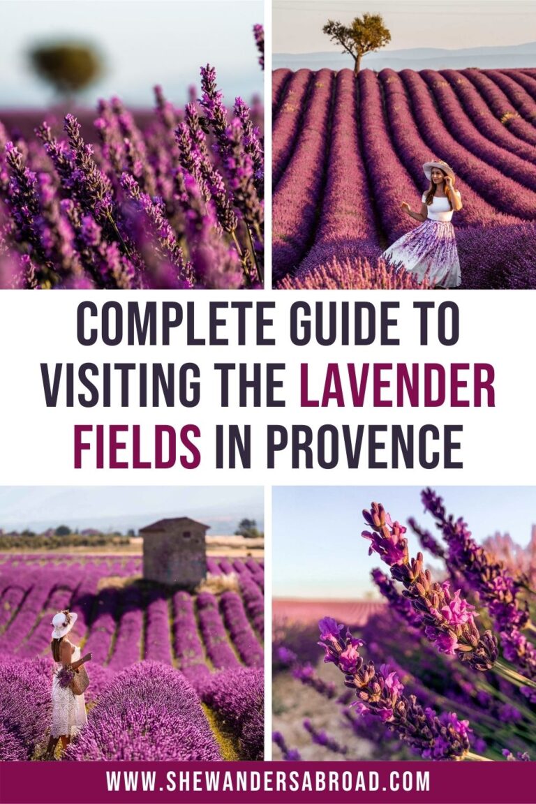 Complete Guide to Visiting the Lavender Fields in Provence