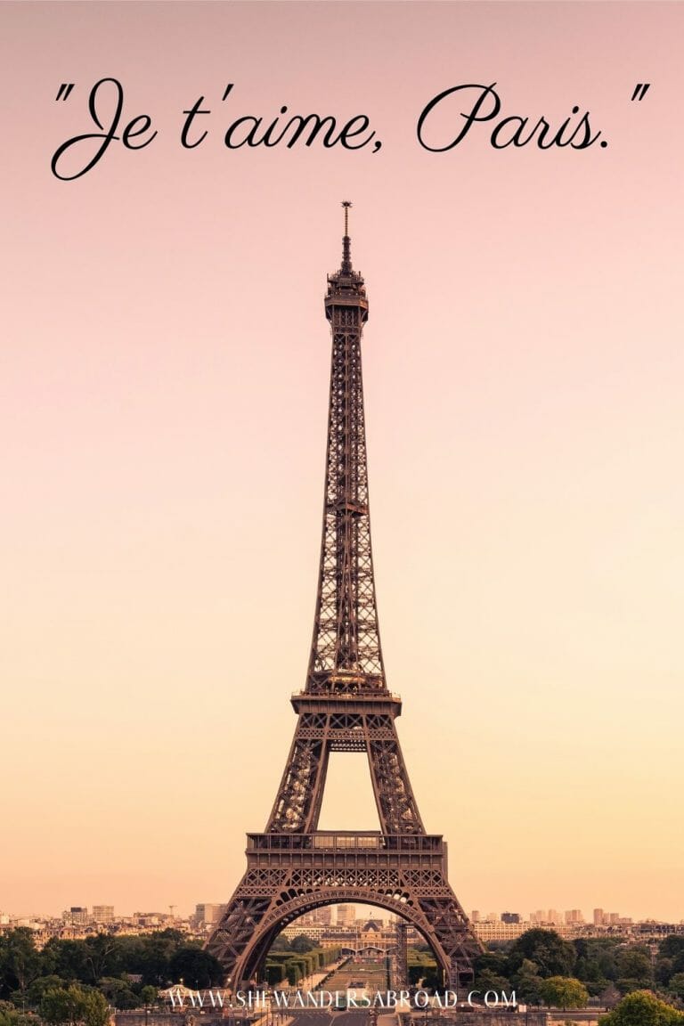 155 Amazing Paris Captions for Instagram (Quotes, Puns & More!) | She ...