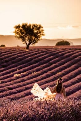 Complete Guide to Visiting the Lavender Fields in Provence | She ...