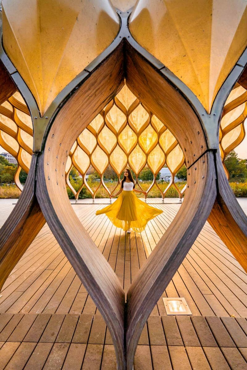15 Most Instagrammable Places in Chicago You Can’t Miss | She Wanders ...