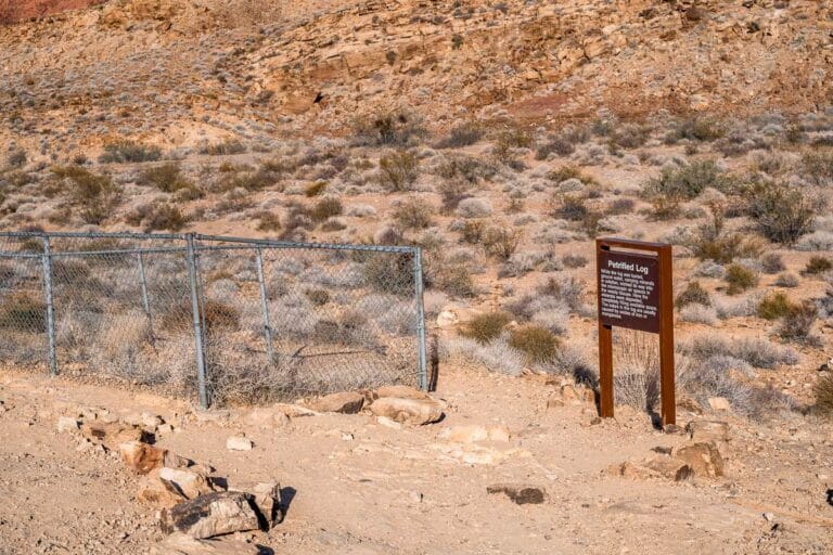 8 Easy Valley of Fire Hikes You Can’t Miss | She Wanders Abroad