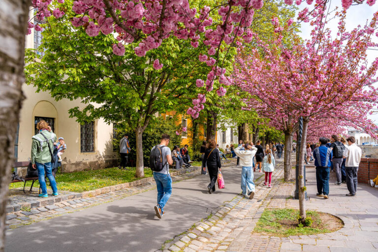 Budapest in Spring: 10 Best Places to Visit & Travel Tips