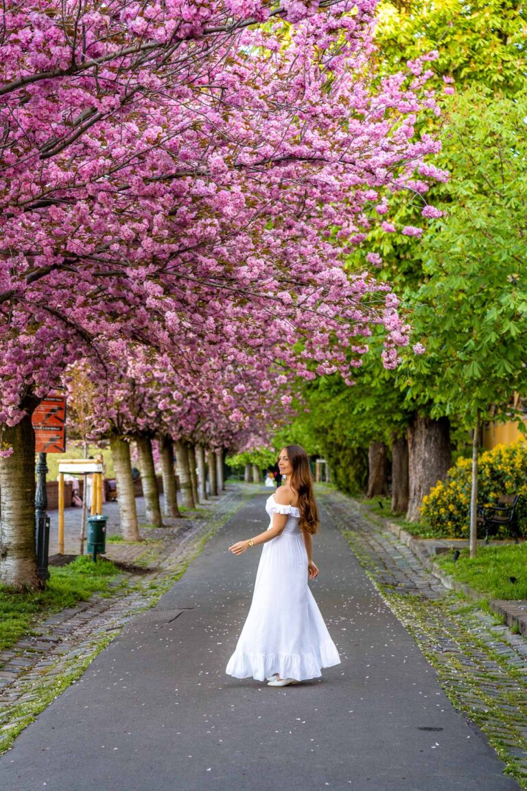 Budapest in Spring: 10 Best Places to Visit & Travel Tips