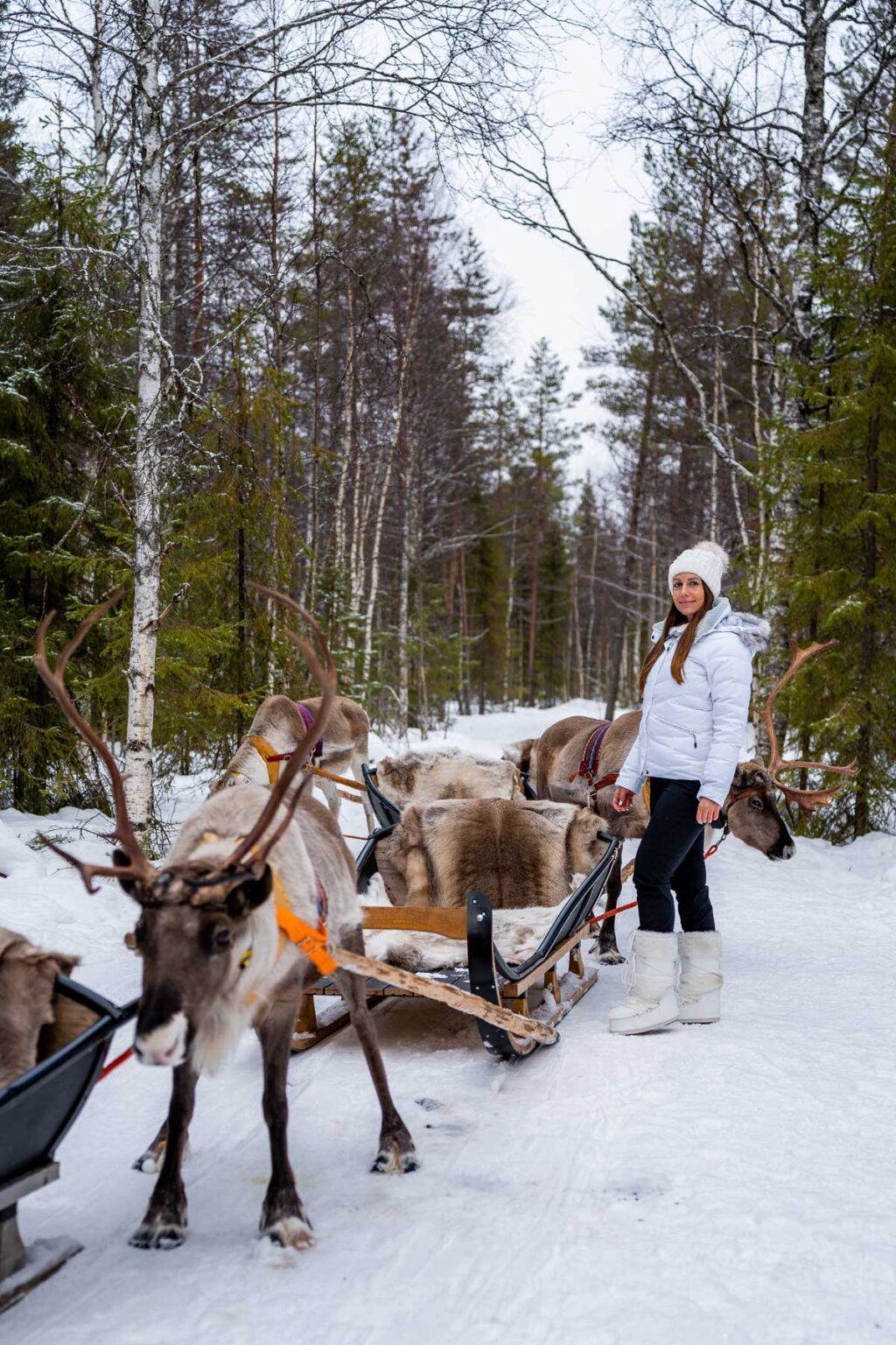 17 Best Things to Do in Lapland, Finland