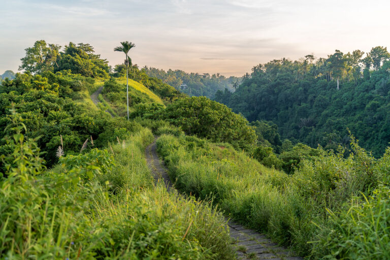 Bali Travel Guide: All You Need to Know Before Visiting