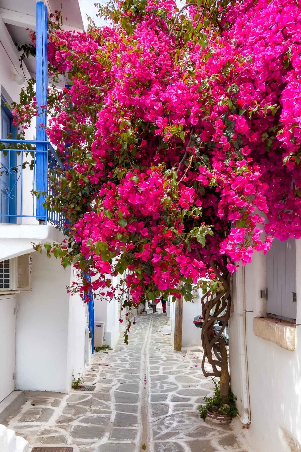 The Ultimate Paros Travel Guide for First-Timers