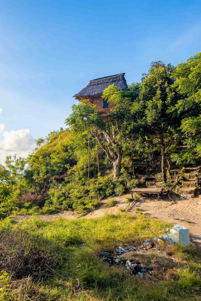 How to Visit the Famous Nusa Penida Treehouse in Bali